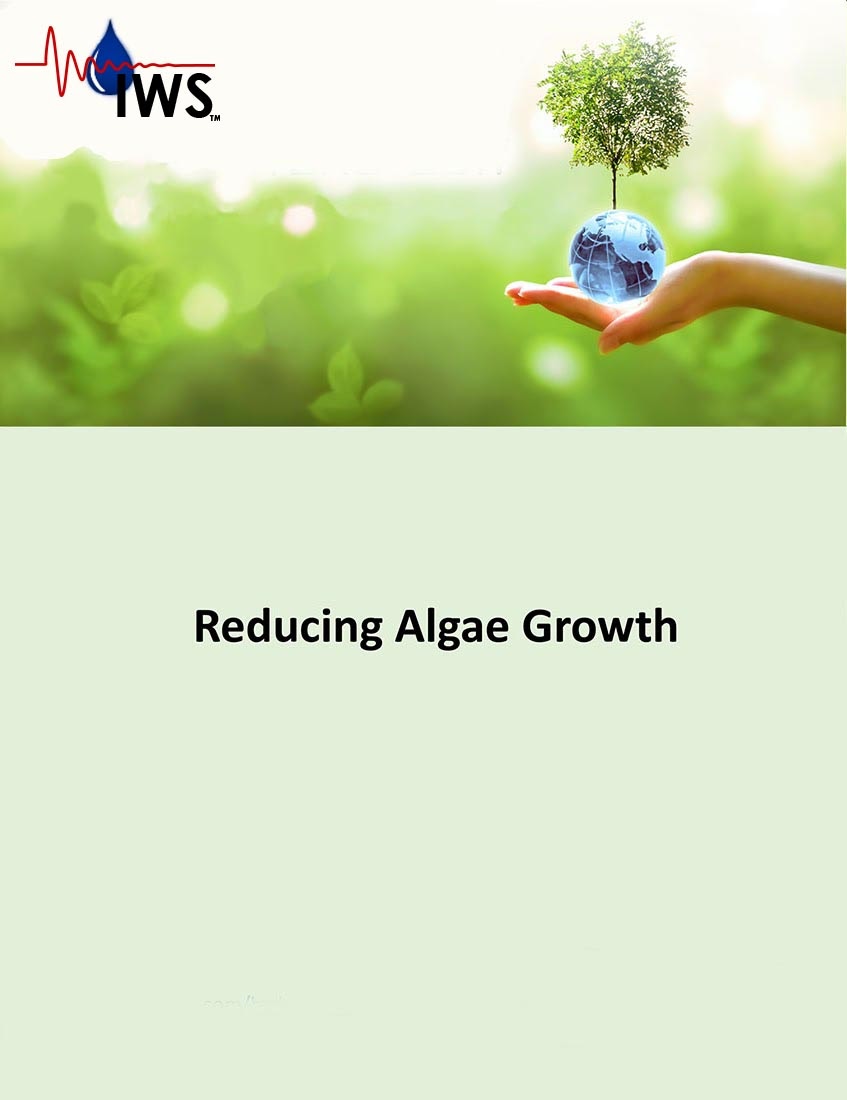 Algae Growth - Integrated Water Solutions
