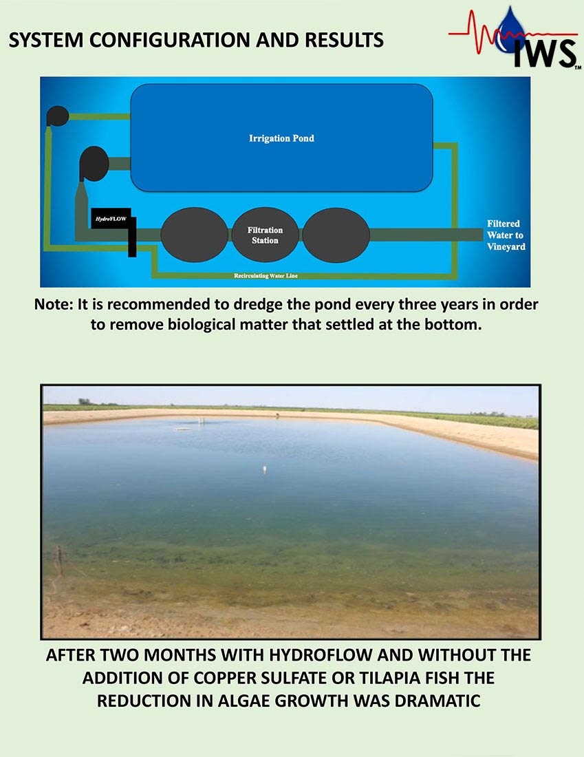 Algae Growth - Integrated Water Solutions