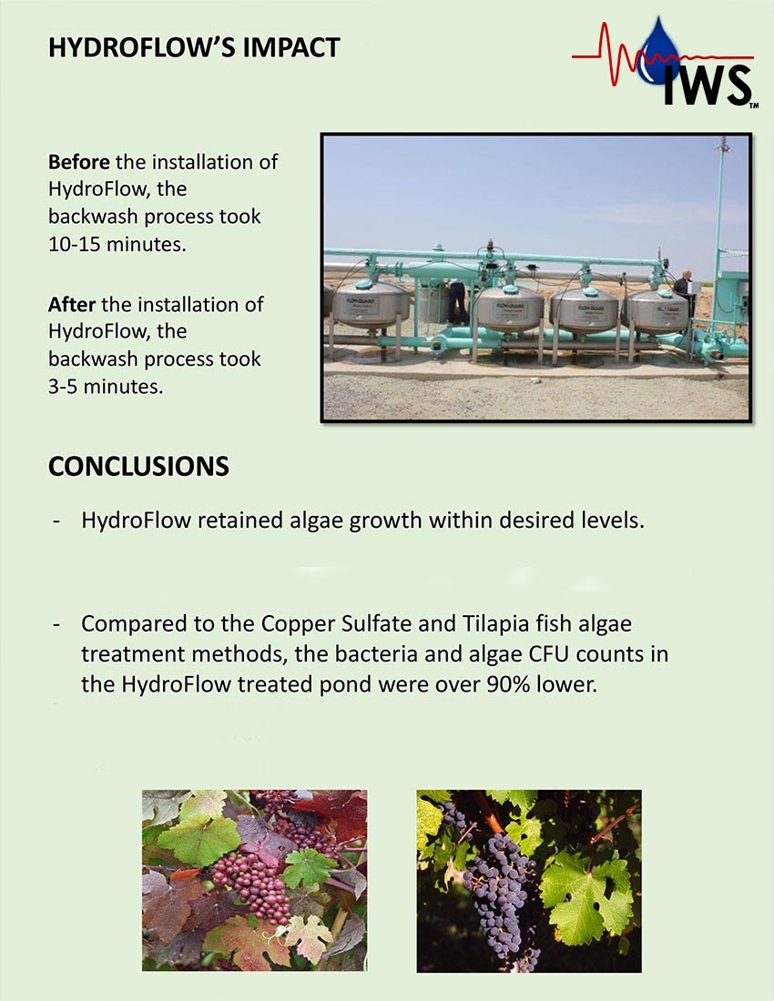 Algae Growth - Integrated Water Solutions