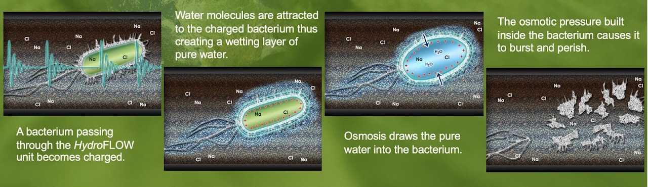 Bio - Integrated Water Solutions